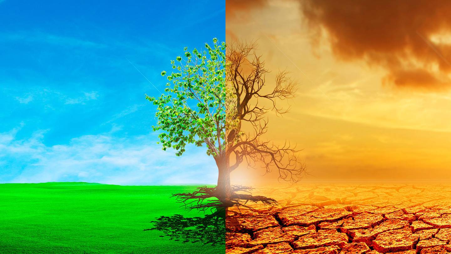 Cambio Climático Causas Y Consecuencias Alarmantes En Nuestro Planeta