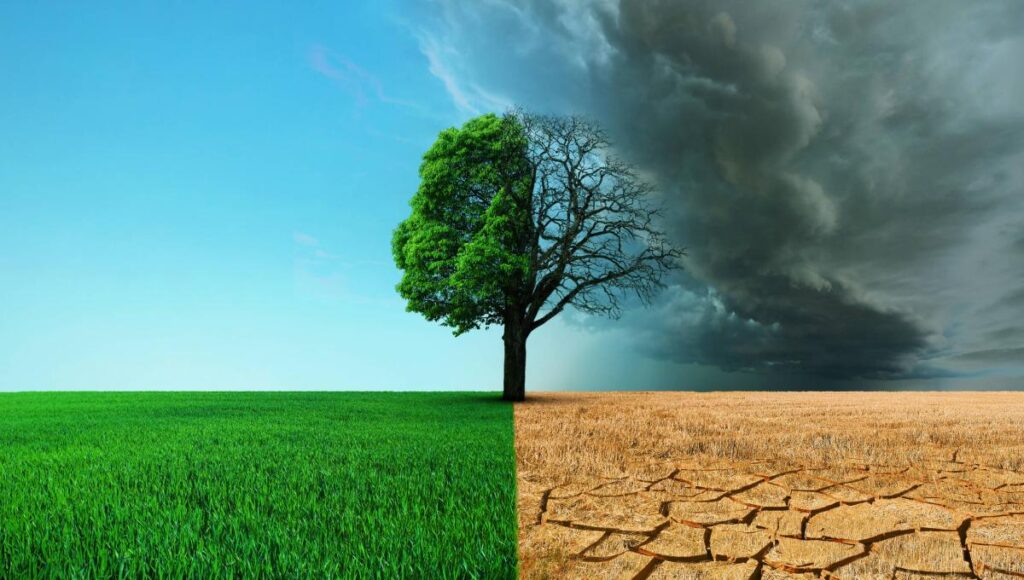 Cambio Climático en Colombia: Impactos y Soluciones Ambientales ...