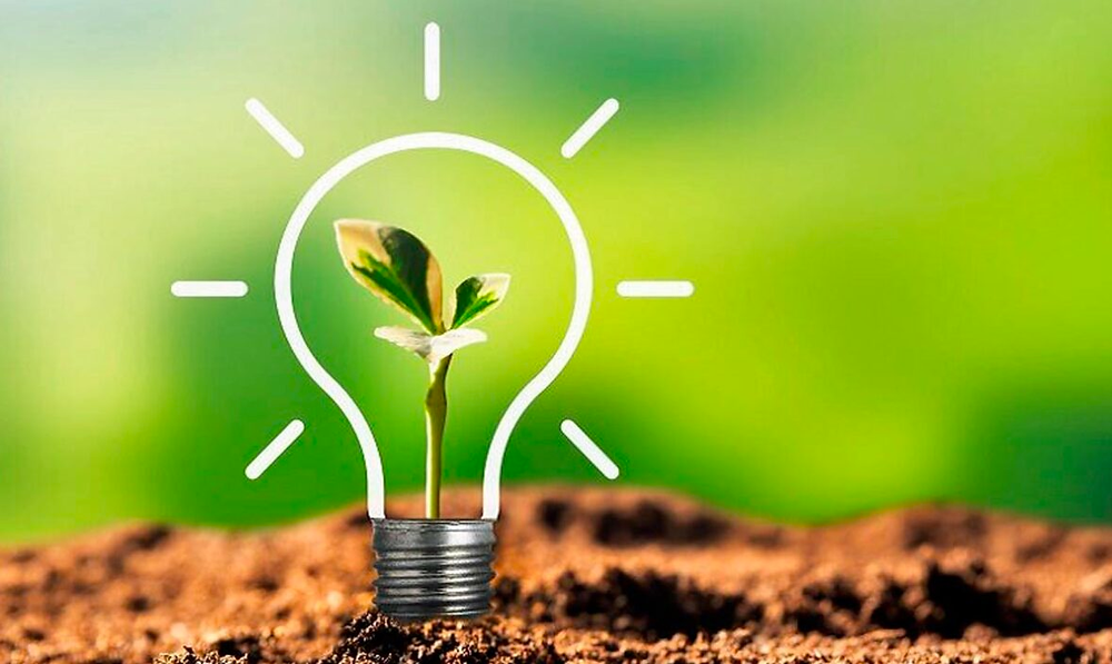 Cambio Climático En Costa Rica Impacto Y Soluciones Para Un Futuro