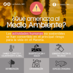 Cambio Climático: Las 10 Causas Principales que Amenazan Nuestro ...