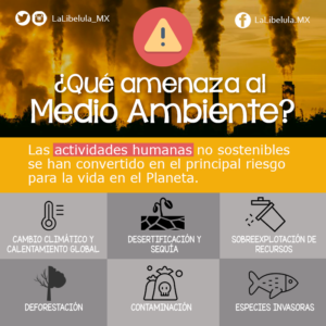 Cambio Climático: Las 10 Causas Principales que Amenazan Nuestro ...