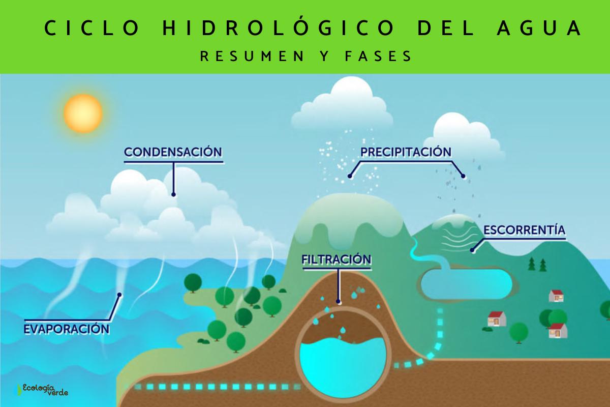 Ciclo Hidrológico del Agua: Descubre sus Fases y la Importancia en la ...
