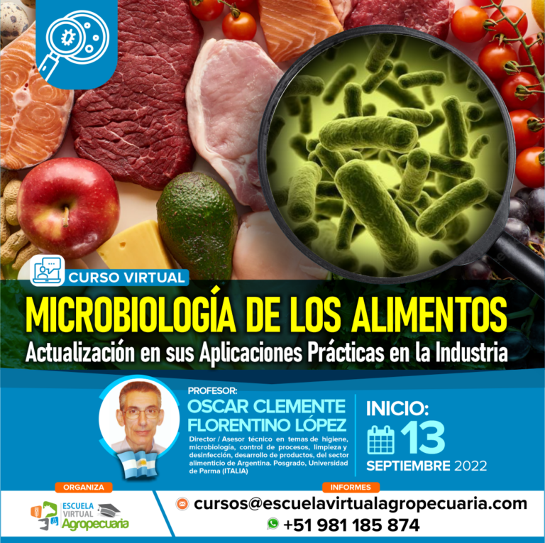 Cursos de Microbiología de Alimentos Gratis: Tu Guía Completa hacia la ...