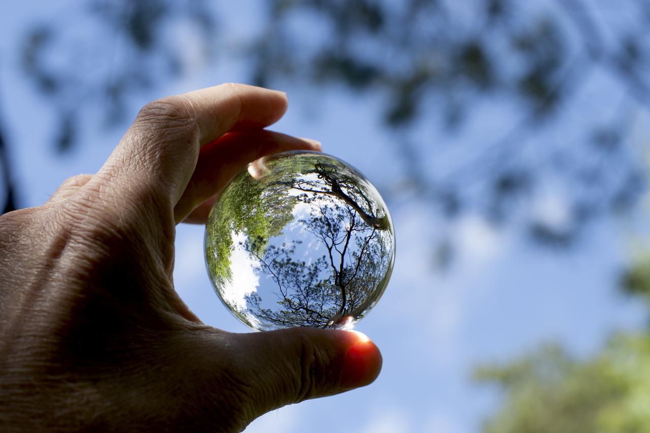 Estados Unidos y el Cambio Climático: Análisis Profundo sobre su ...