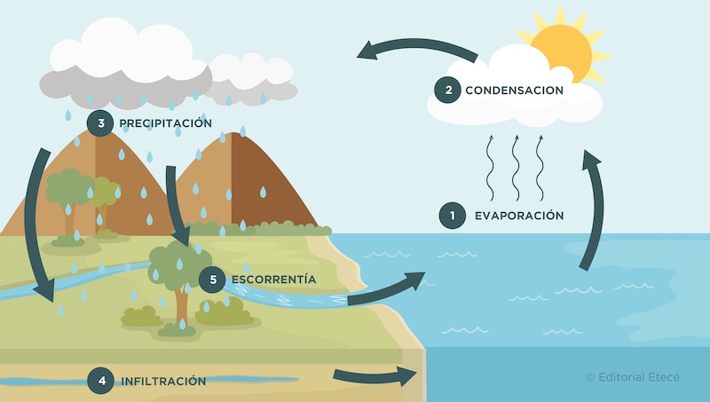 Hidrología: Proceso detallado y secuencial del Ciclo del Agua ...