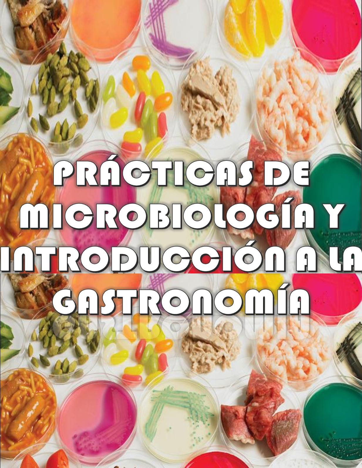 Historia de la Microbiología de los Alimentos: Un Fascinante Recorrido ...
