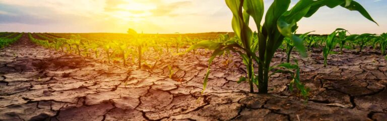 Impacto de la Agricultura en el Cambio Climático: Un Asunto ...
