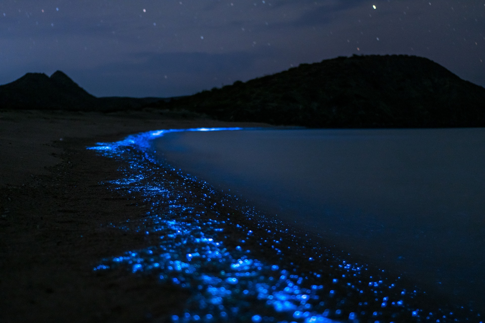 Plancton Fluorescente en las Playas de Tailandia: Un Espectáculo de Luz ...
