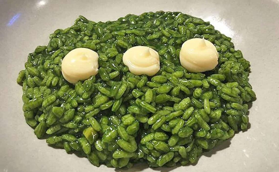 Plancton Marino: Guía Completa para Comprar y Beneficios del ...