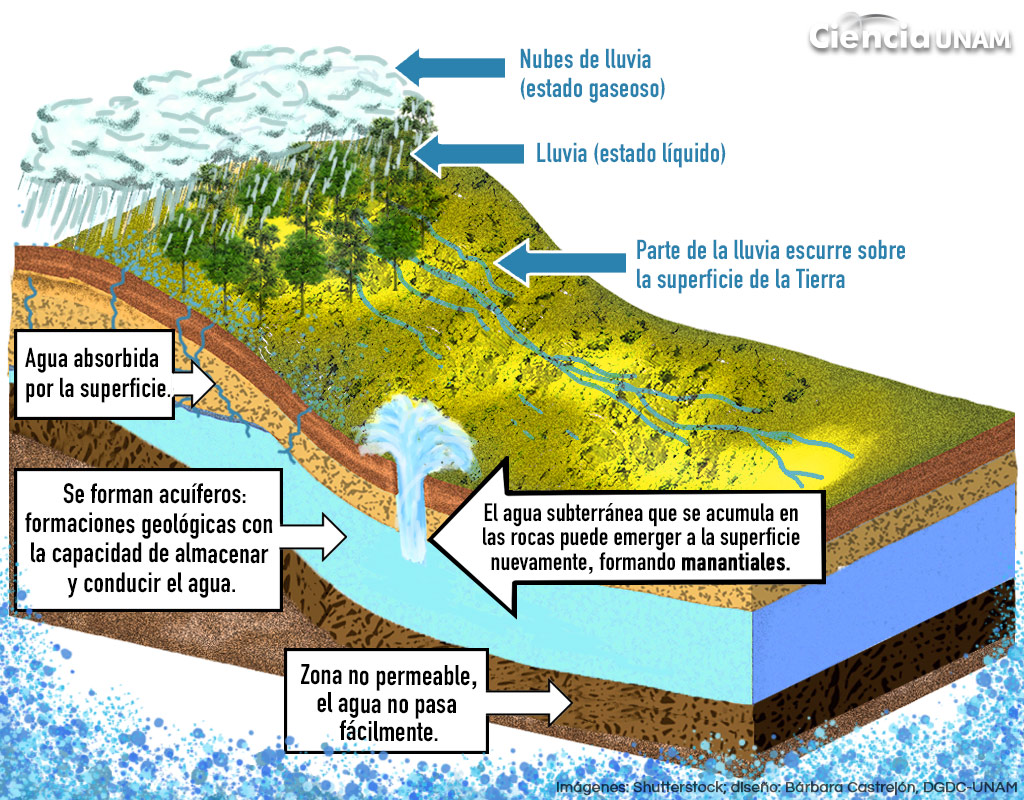 Acuíferos: Qué son los mantos acuíferos y cómo se forman - Guía ...